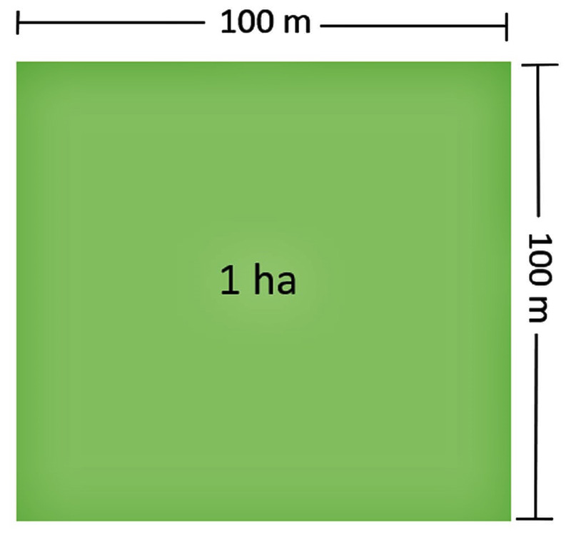 1 Mm2 1 Cm2 B ng Bao Nhi u Dm2 Ha hecta Km2 